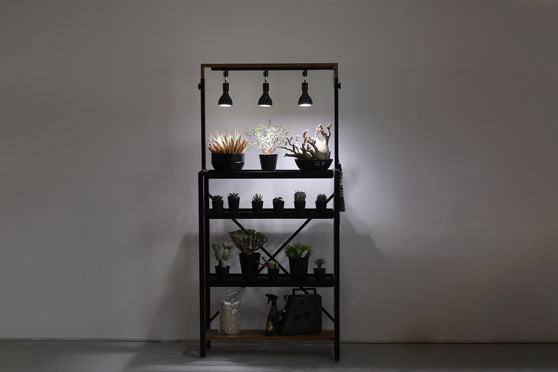 ボタニカルラック用TOP照明キット | アイアン家具通販 SULK