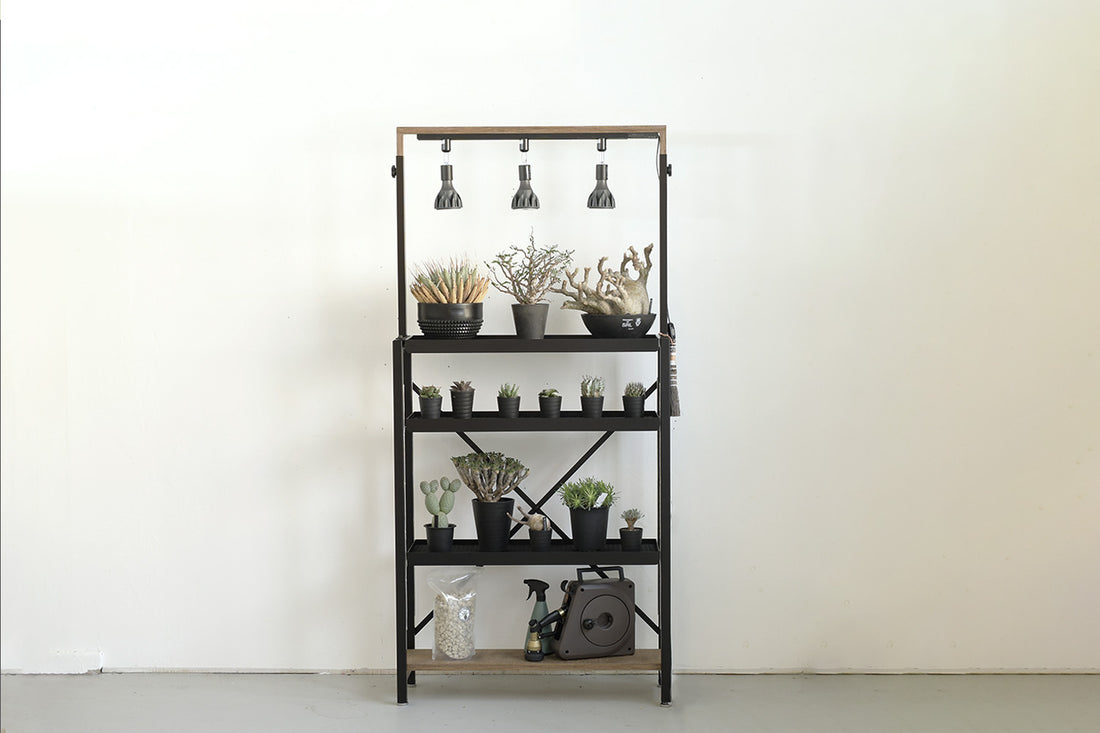 ボタニカルラック用TOP照明キット | アイアン家具通販 SULK